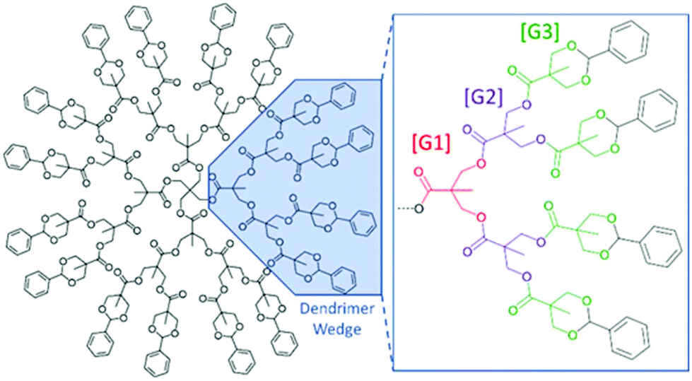 Solution size variation of linear and dendritic bis-MPA analogs using ...