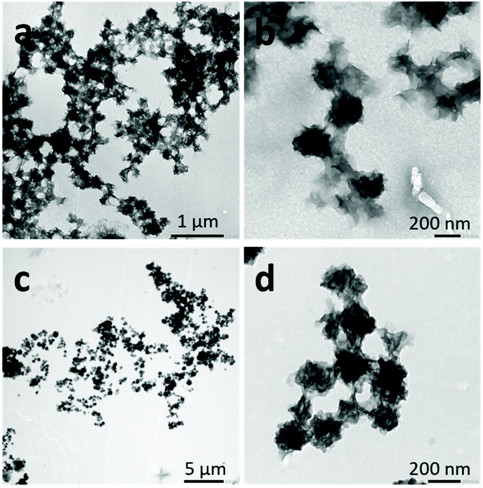 Preparation of well-defined 2D-lenticular aggregates by self-assembly ...