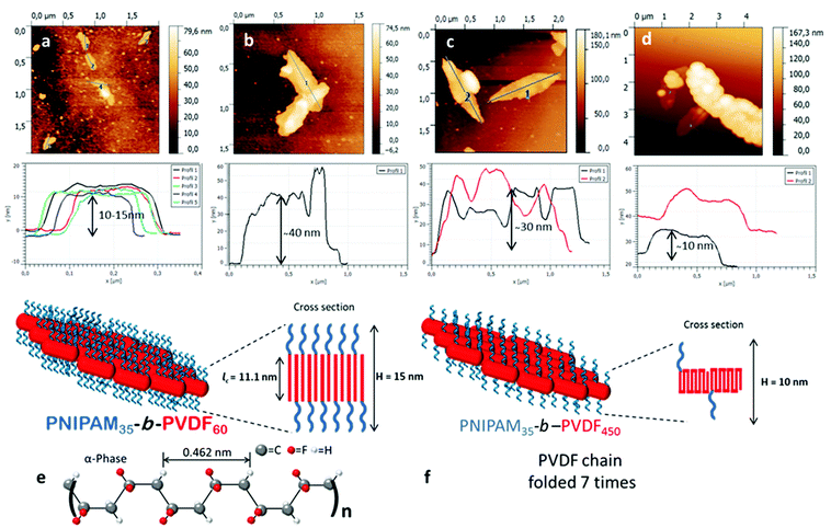 Preparation of well-defined 2D-lenticular aggregates by self-assembly ...