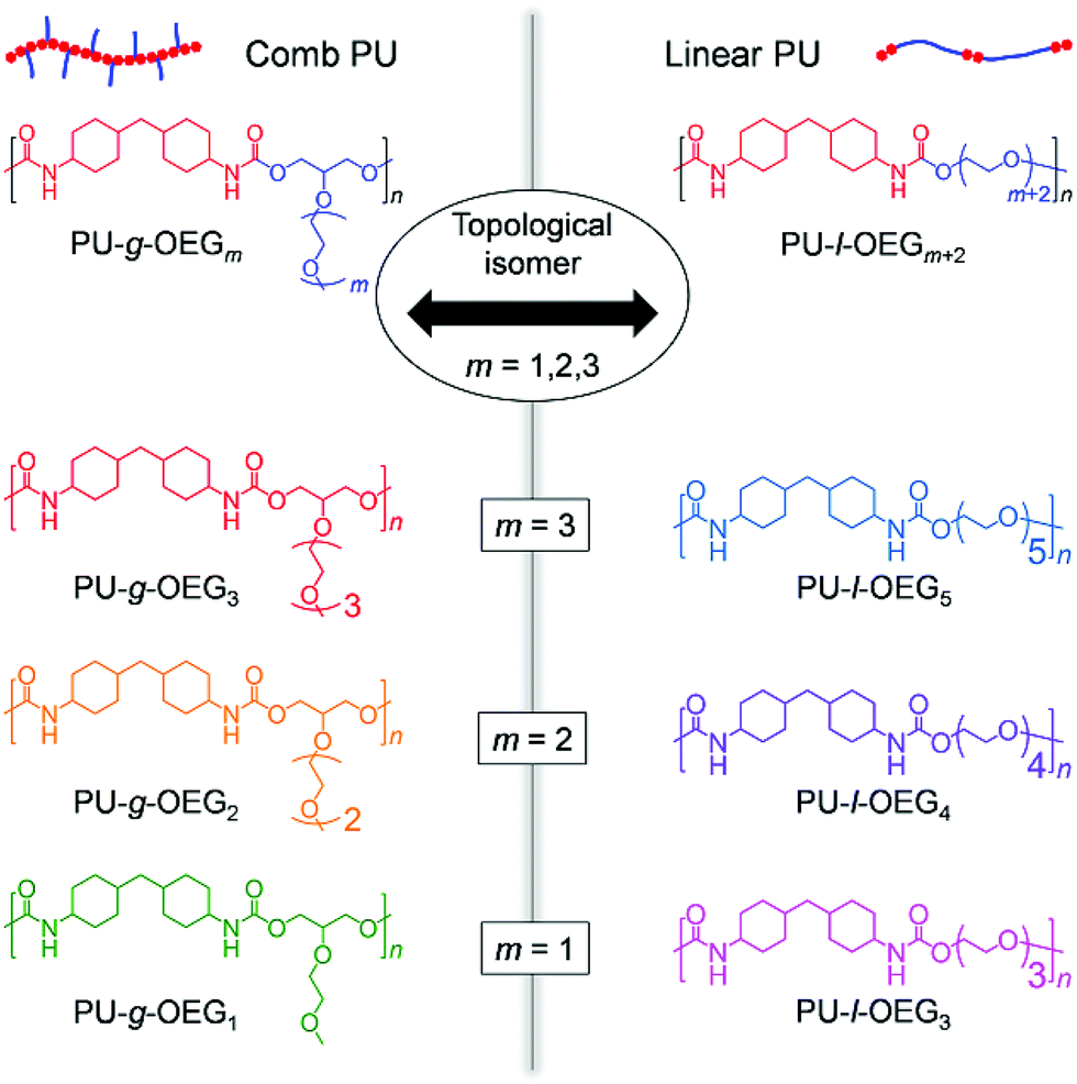 Clarification of the effects of topological isomers on the mechanical ...