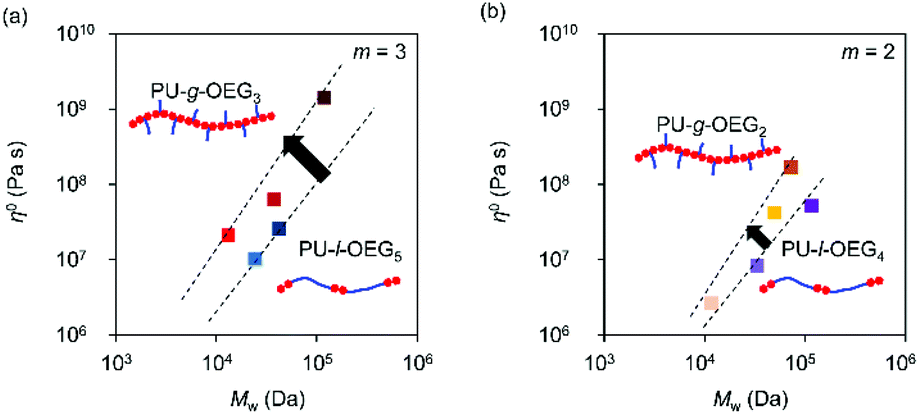 Clarification of the effects of topological isomers on the mechanical ...