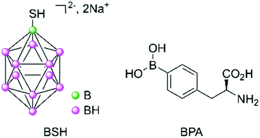 Polymers and boron neutron capture therapy (BNCT): a potent combination - Polymer Chemistry (RSC ...