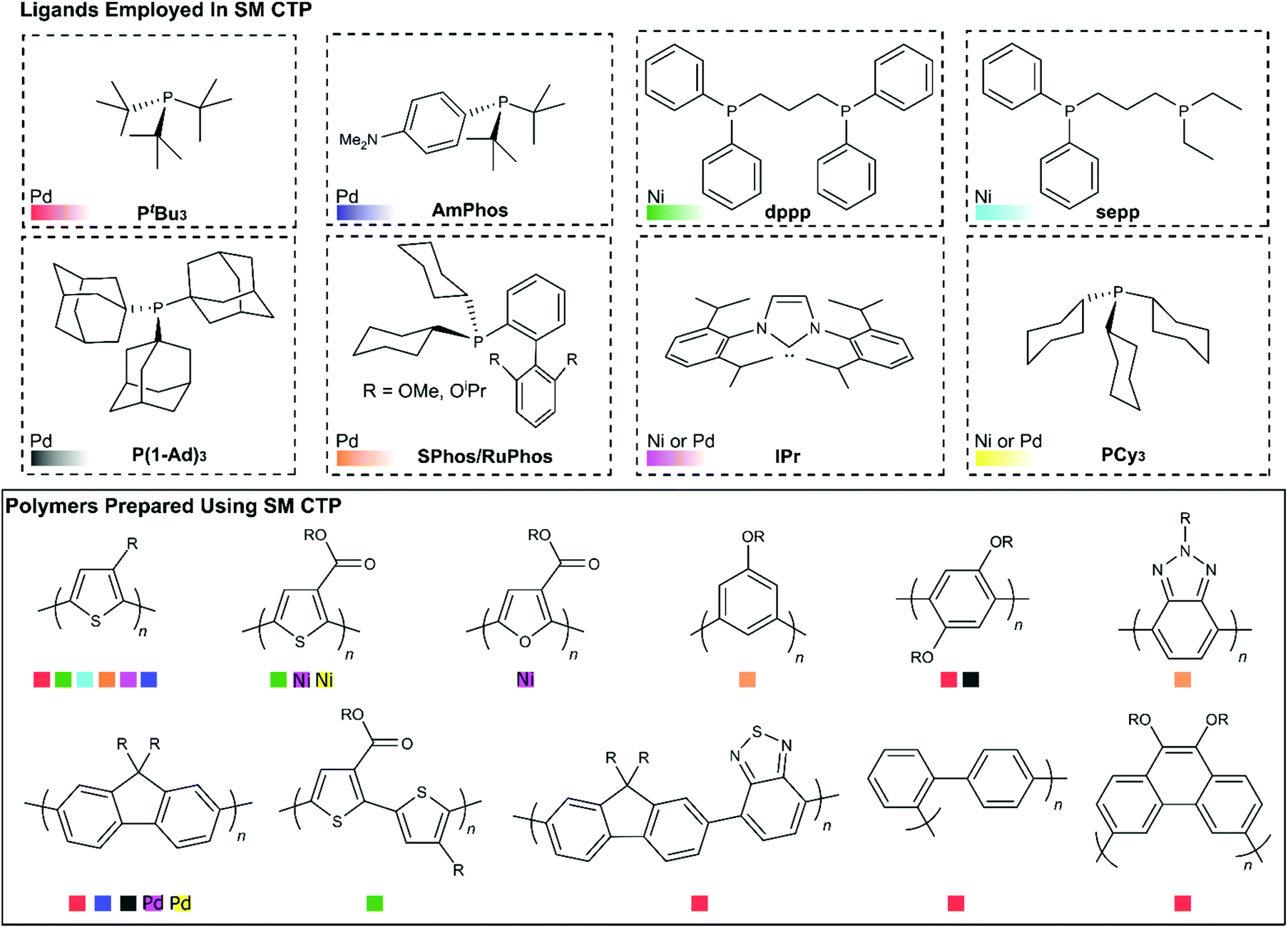 Pairing Suzuki–Miyaura cross-coupling and catalyst transfer ...