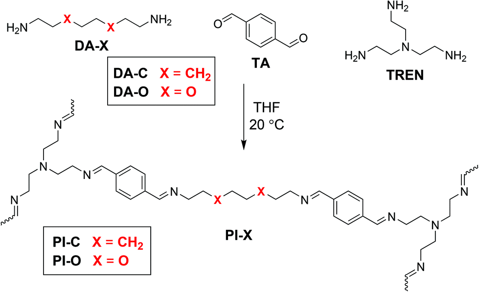 The effect of polarity on the molecular exchange dynamics in imine ...