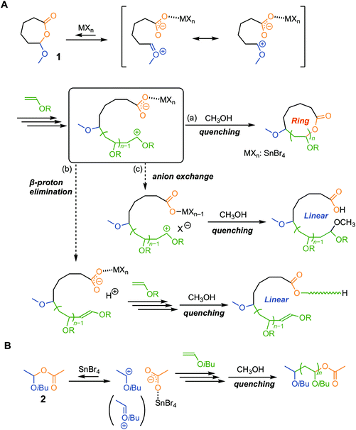 Magnesium bromide (MgBr 2 ) as a catalyst for living cationic ...