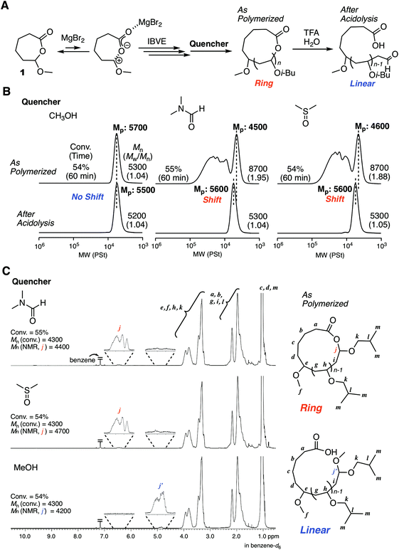 Magnesium bromide (MgBr 2 ) as a catalyst for living cationic ...