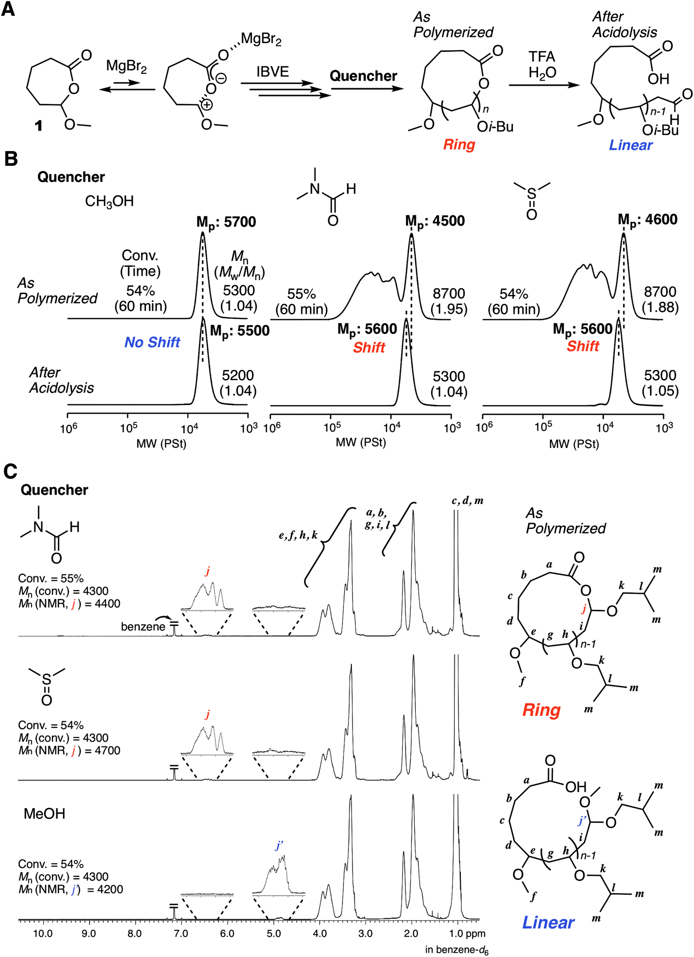 Magnesium bromide (MgBr 2 ) as a catalyst for living cationic ...