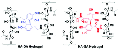 An unexpected role of an extra phenolic hydroxyl on the chemical ...