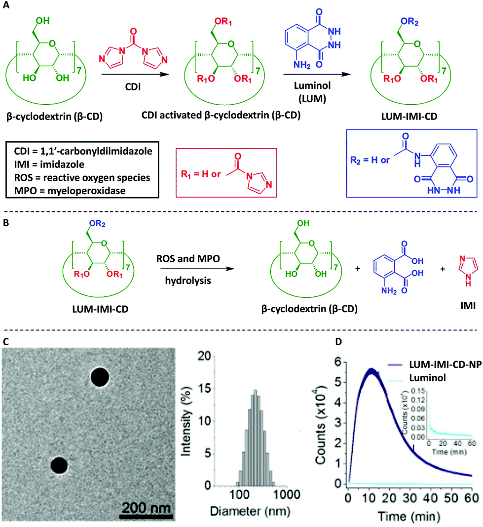 Untapped toolbox of luminol based polymers - Polymer Chemistry (RSC ...