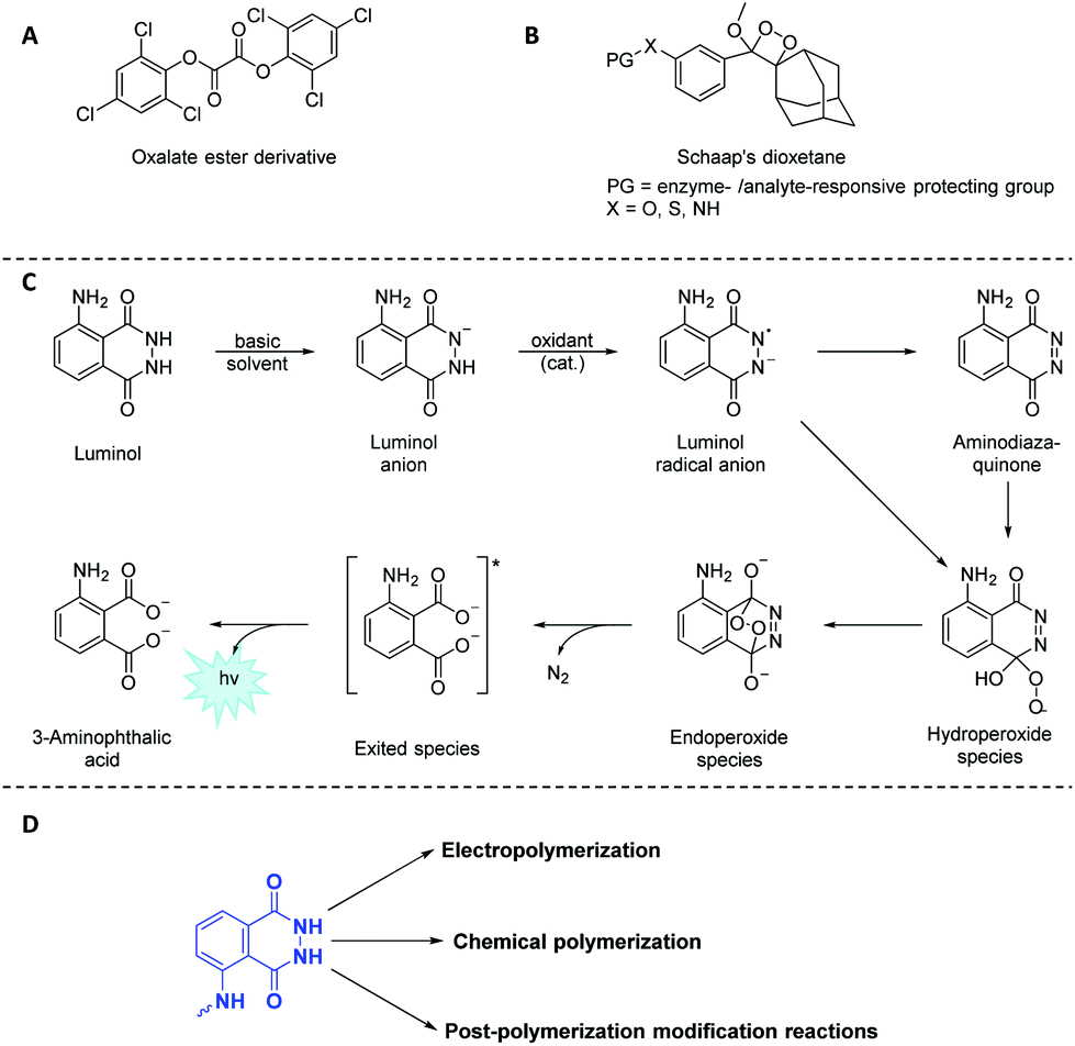 Untapped toolbox of luminol based polymers - Polymer Chemistry (RSC ...