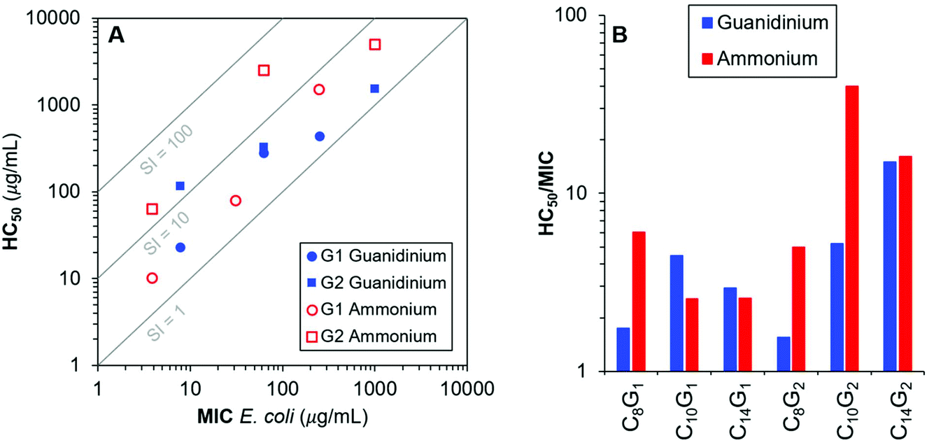Guanidium-functionalized cationic molecular umbrellas as antibacterial ...