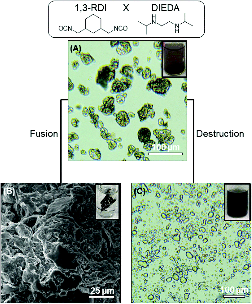 Inter-capsule fusion and capsule shell destruction using dynamic ...