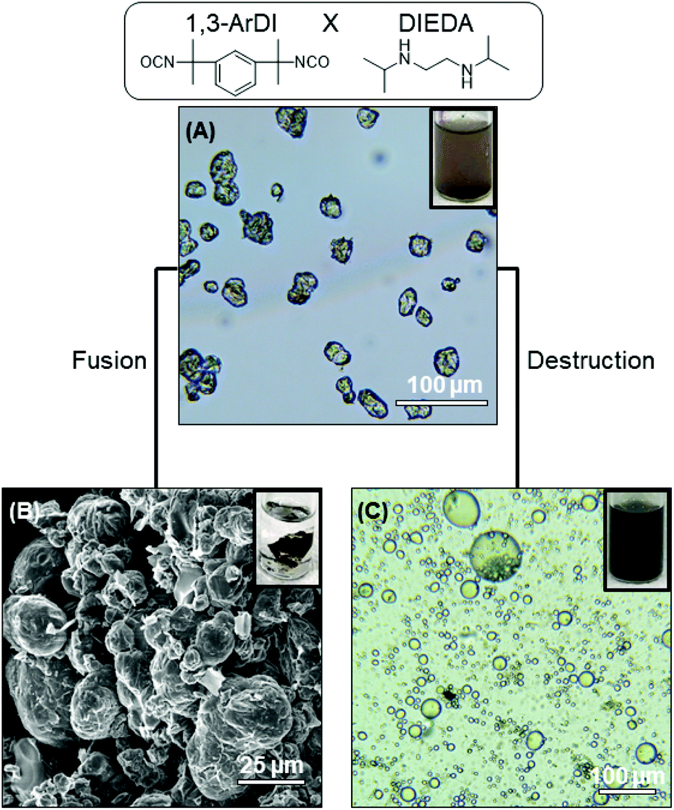 Inter-capsule fusion and capsule shell destruction using dynamic ...