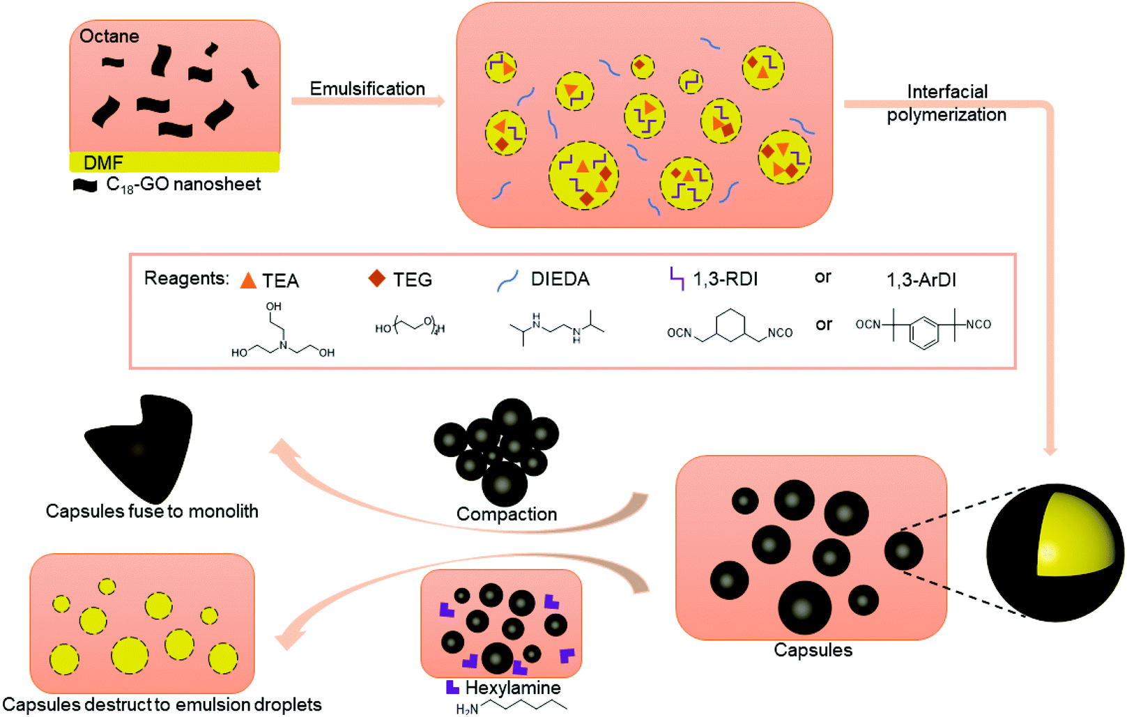 Inter-capsule fusion and capsule shell destruction using dynamic ...