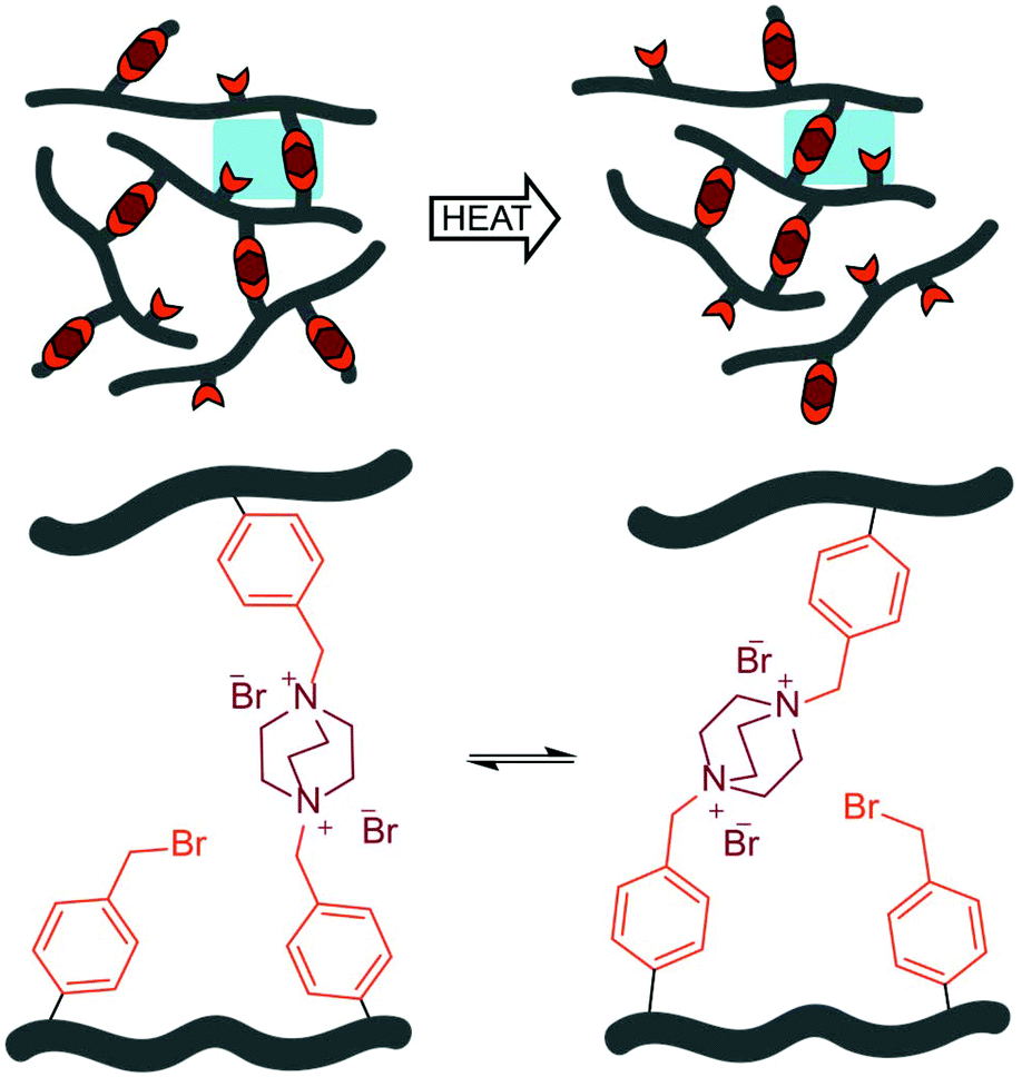 Reversible crosslinking and fast stress relaxation in dynamic polymer ...