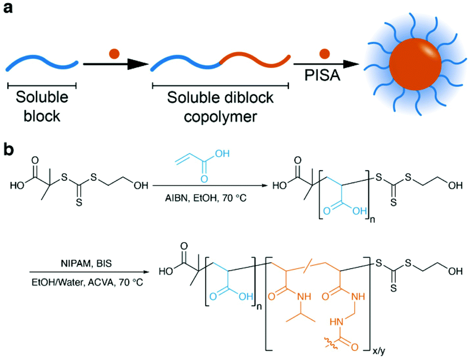 The effects of cononsolvents on the synthesis of responsive particles ...