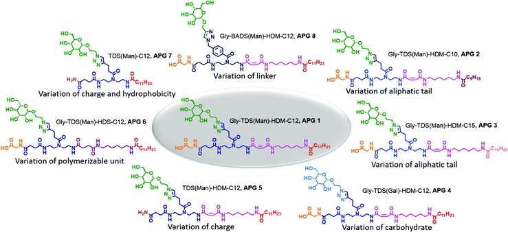 Synthesis and self-assembly of amphiphilic precision ...