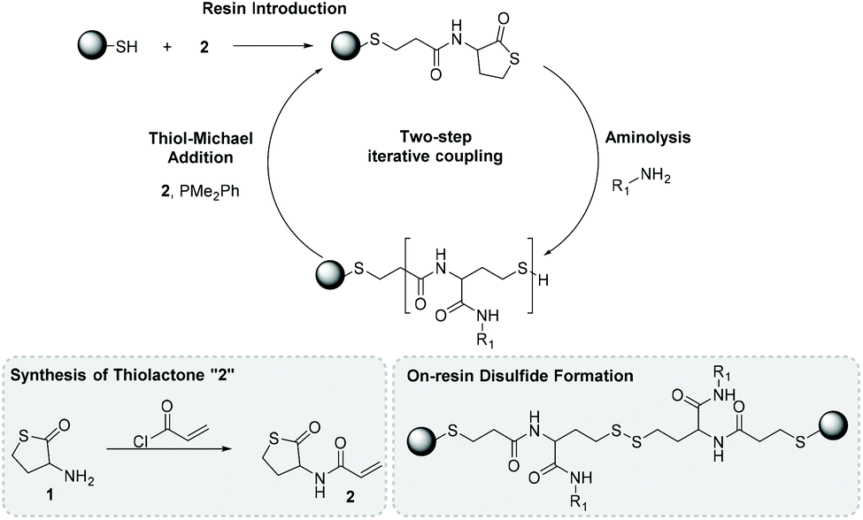 Progress, challenges and future directions of heterocycles as building ...