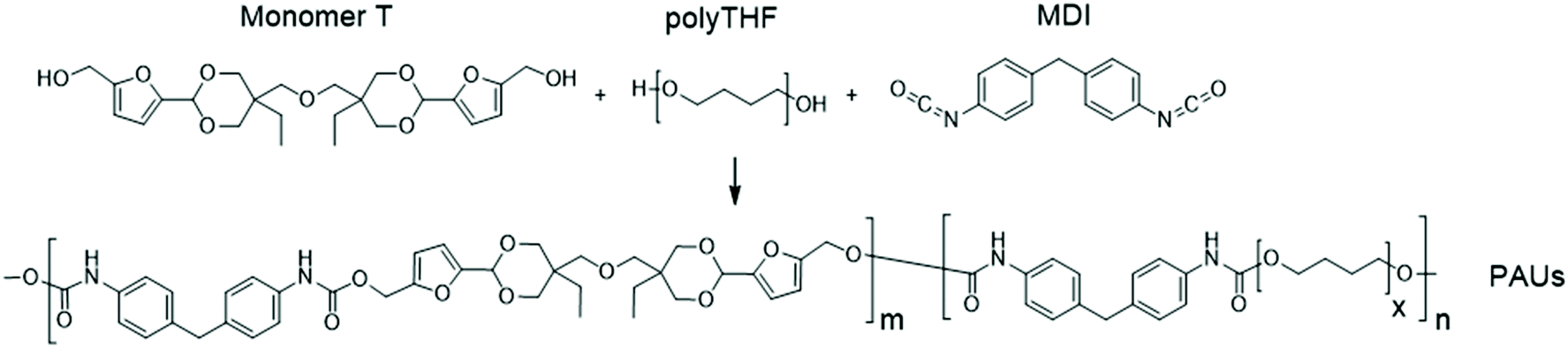 Synthesis and melt-spinning of partly bio-based thermoplastic poly ...