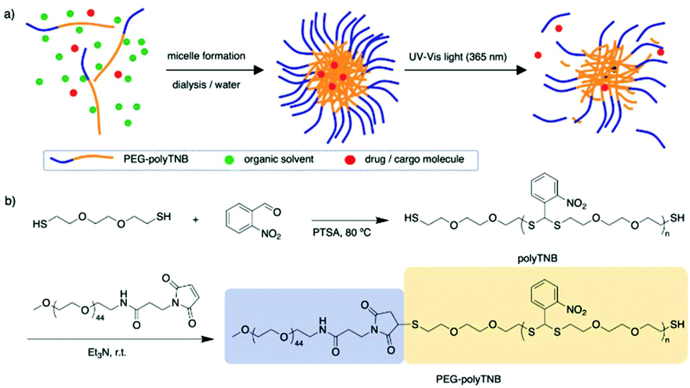 Photo cleavable thioacetal block copolymers for controlled release ...