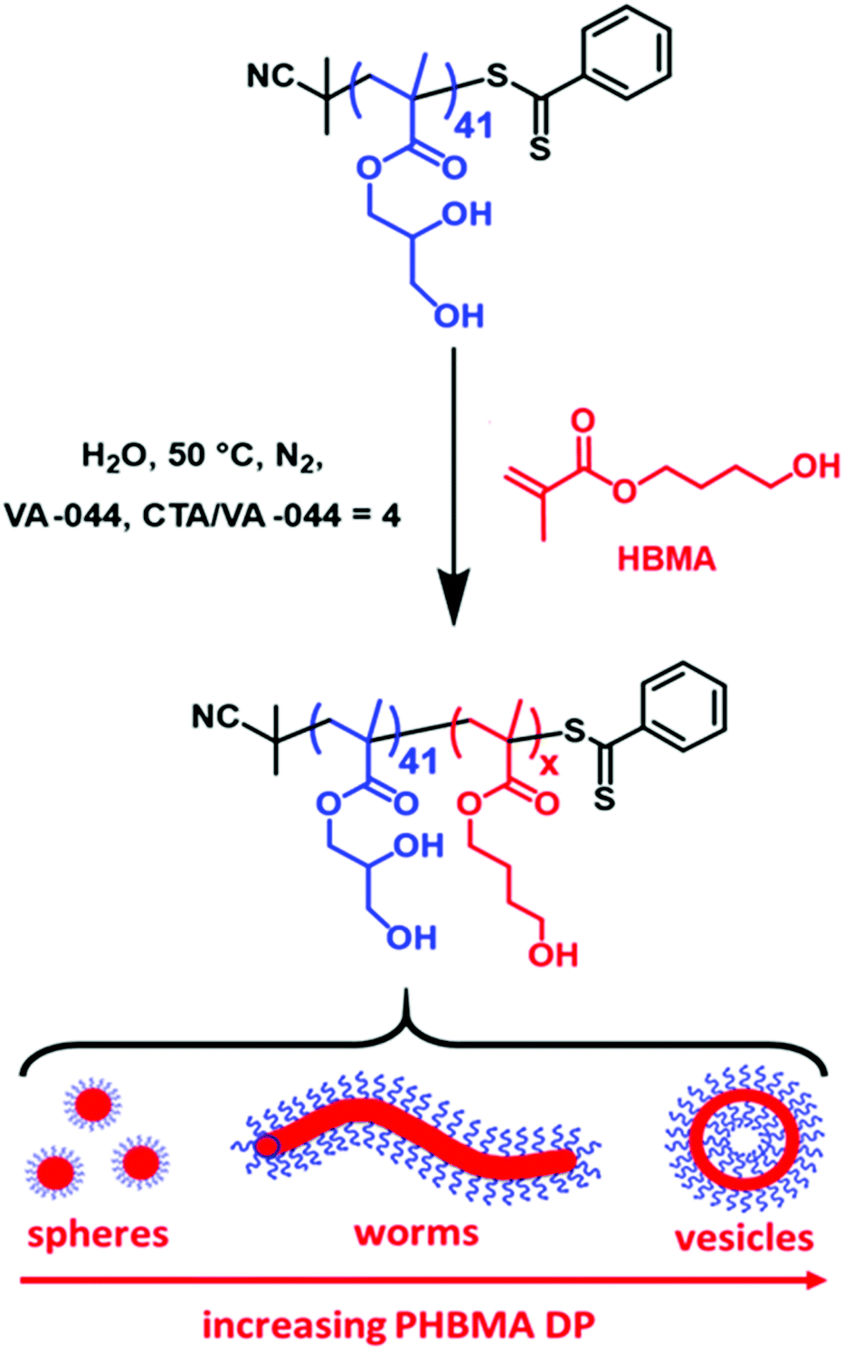 Synthesis of diblock copolymer spheres, worms and vesicles via RAFT ...