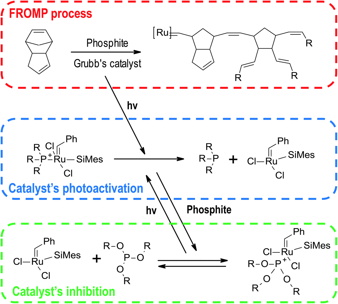 Photoinitiating systems and kinetics of frontal photopolymerization ...
