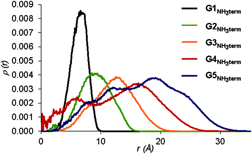 Slightly congested amino terminal dendrimers. The synthesis of amide ...