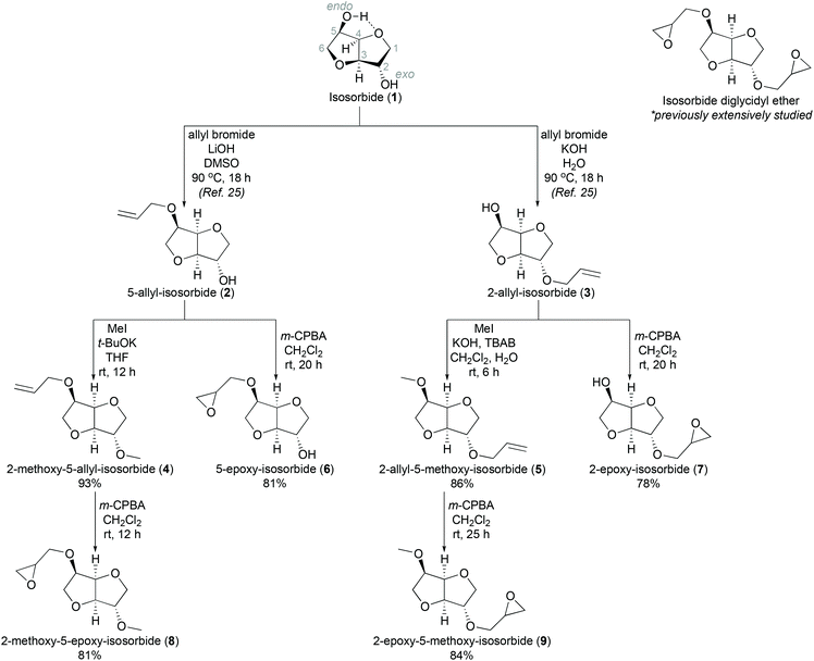Synthesis and anionic polymerization of isosorbide mono-epoxides for ...
