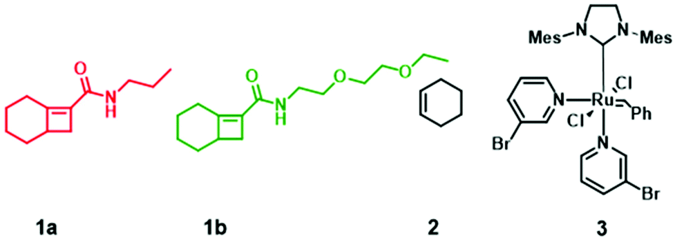 Gradient copolymer prepared from alternating ring-opening metathesis of ...