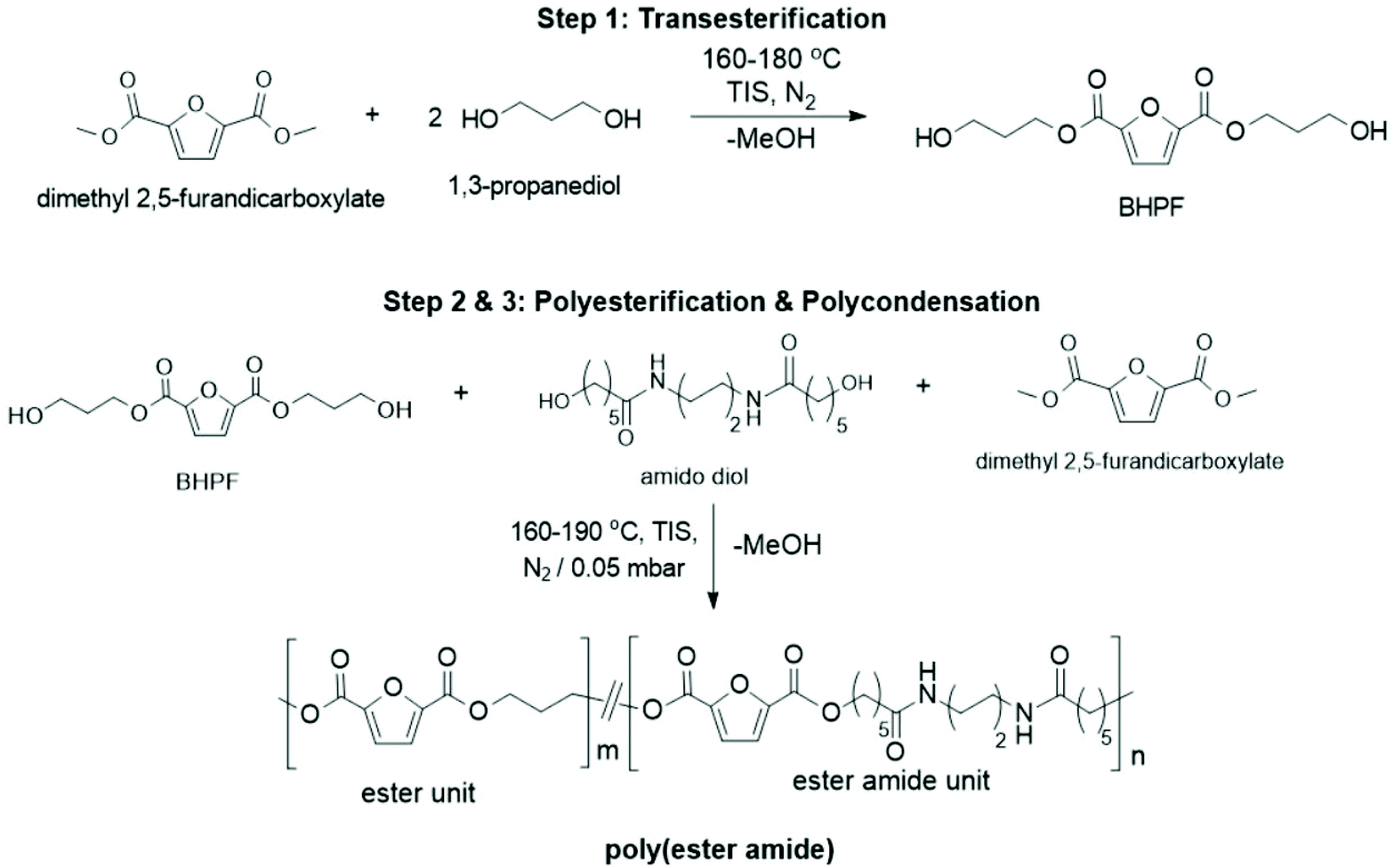 Unlocking the potential of furan-based poly(ester amide)s: an investigation of crystallization ...