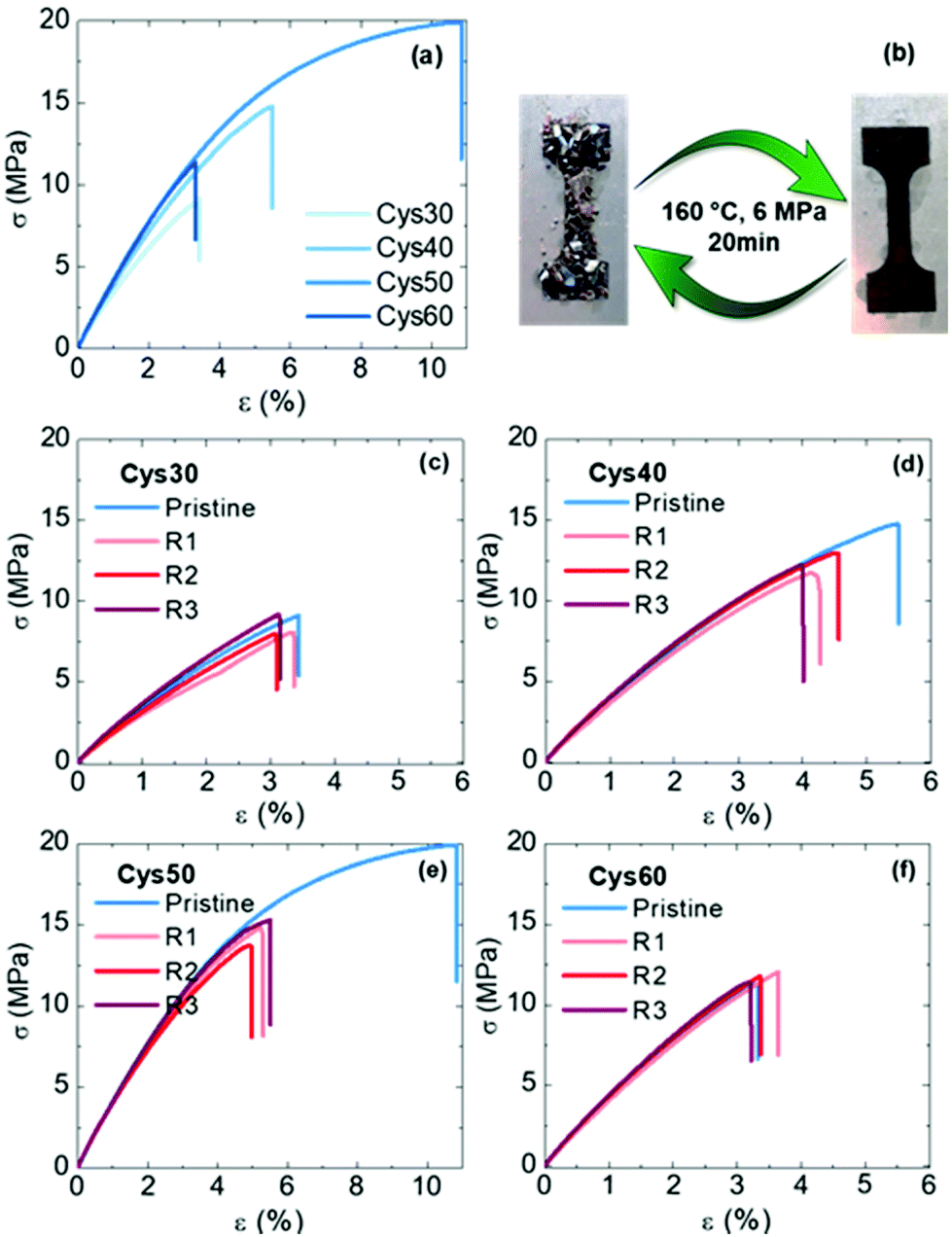 Long-chain polyamide covalent adaptable networks based on renewable ...