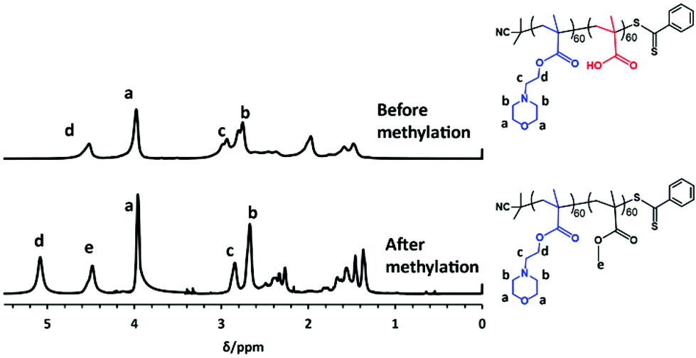 Synthesis of polyampholytic diblock copolymers via RAFT aqueous ...