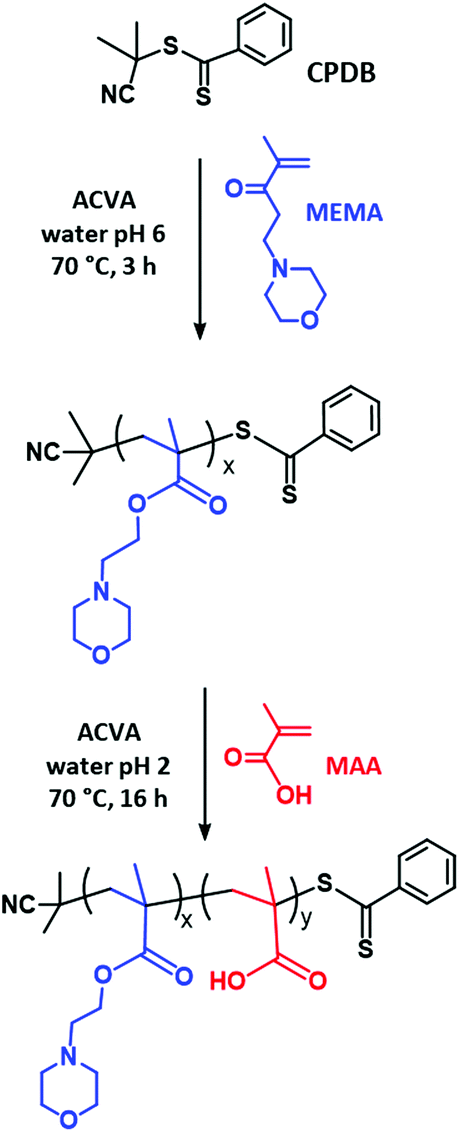 Synthesis of polyampholytic diblock copolymers via RAFT aqueous ...