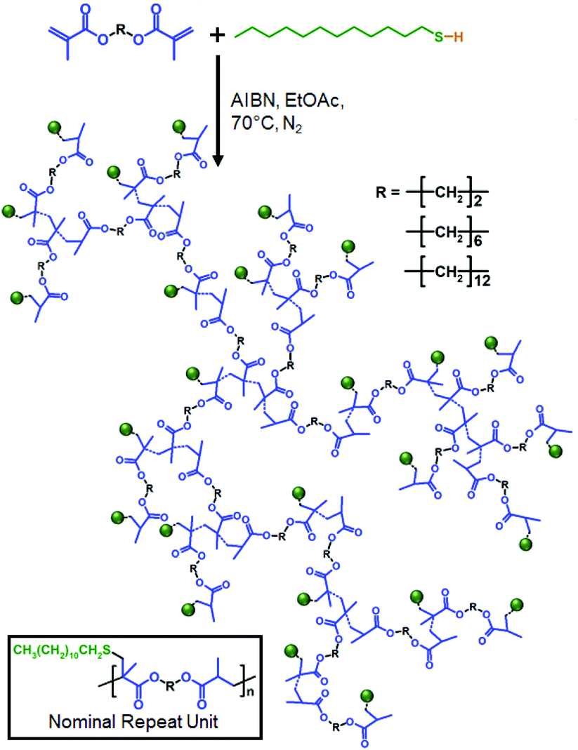 Impact of multi-vinyl taxogen dimensions on high molecular weight ...