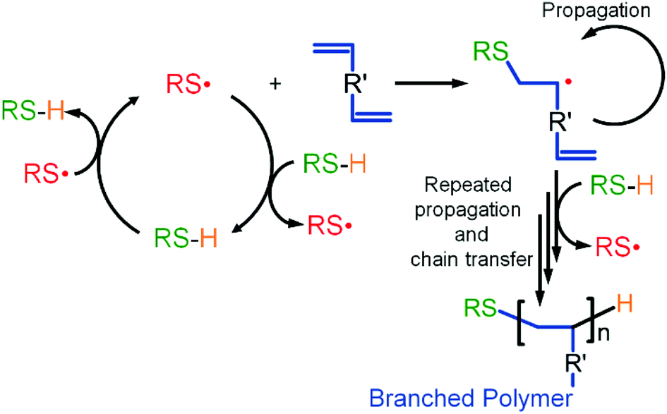 Impact of multi-vinyl taxogen dimensions on high molecular weight ...
