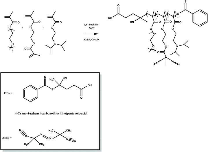 Multi-responsive poly(oligo(ethylene glycol)methyl methacrylate)- co ...