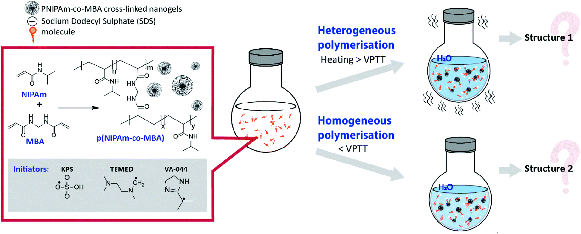 Effect of heterogeneous and homogeneous polymerisation on the structure ...