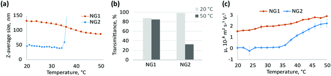 Effect of heterogeneous and homogeneous polymerisation on the structure ...