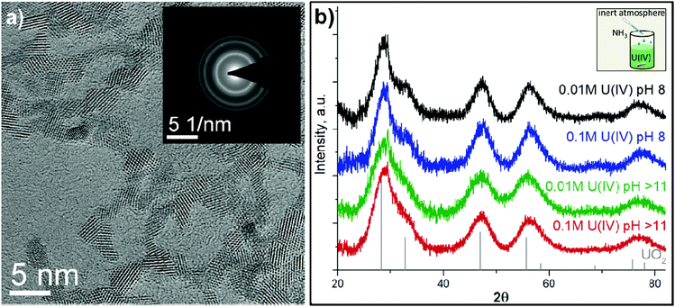 Insight into the structure–property relationship of UO 2 nanoparticles ...