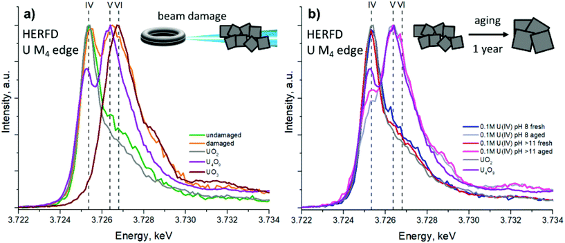 Insight into the structure–property relationship of UO 2 nanoparticles ...