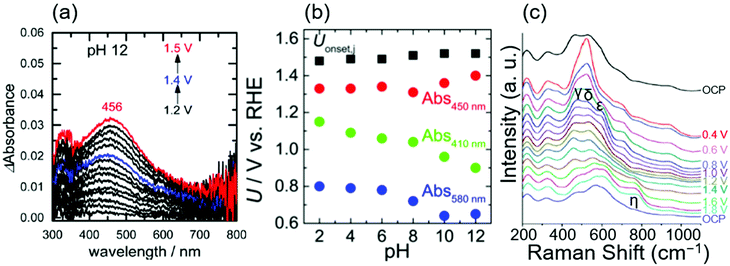 Recent advances in understanding oxygen evolution reaction mechanisms ...