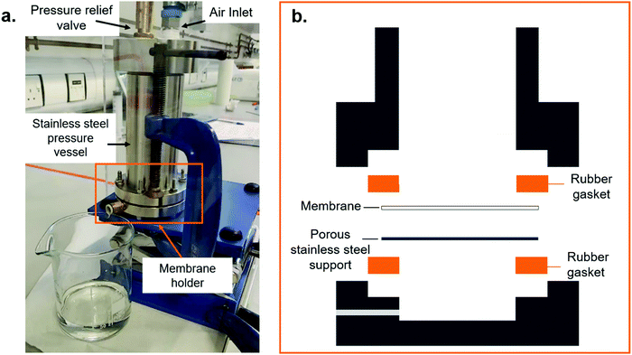 Dual-template approach to hierarchically porous polymer membranes ...