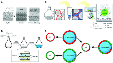 Advancements in the preparation methods of artificial cell membranes ...