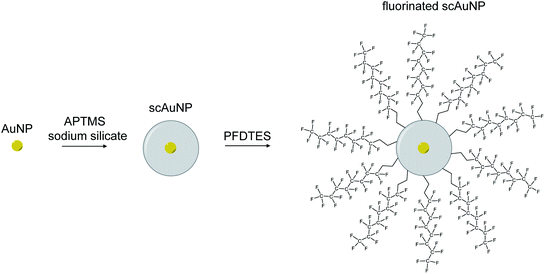 Laser activatable perfluorocarbon bubbles for imaging and therapy ...