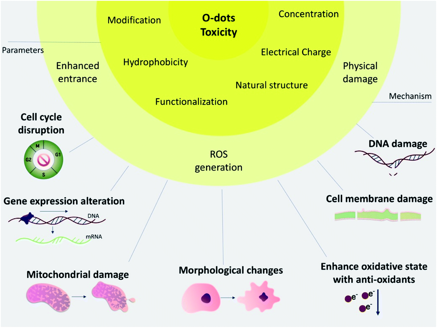 Organic dots (O-dots) for theranostic applications: preparation and ...