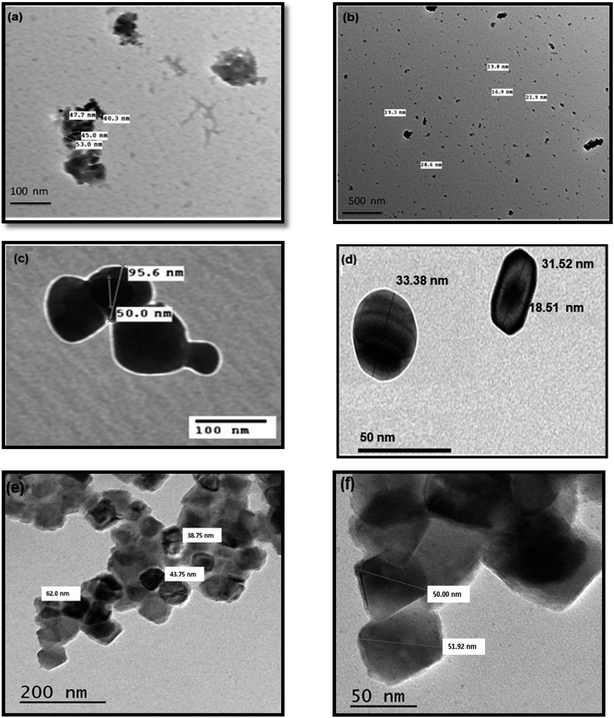 Facile synthesis of superparamagnetic Fe 3 O 4 @noble metal core–shell ...