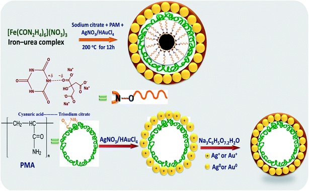 Facile synthesis of superparamagnetic Fe 3 O 4 @noble metal core–shell ...