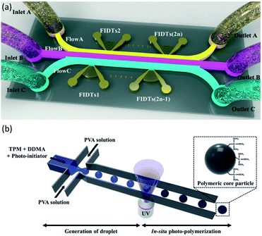 Microfluidics for core–shell drug carrier particles – a review - RSC ...