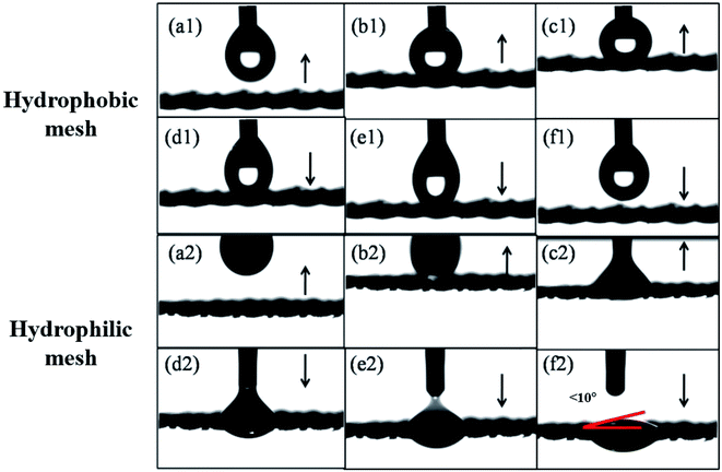Facile fabrication of a Janus mesh for water fluid unidirectional ...