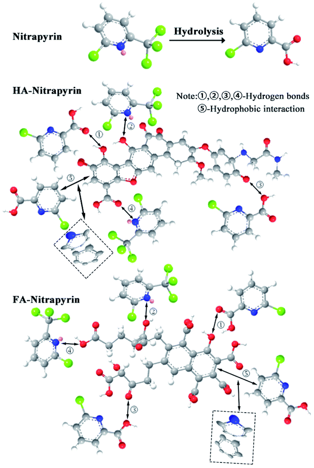 Adsorption of nitrification inhibitor nitrapyrin by humic acid and ...